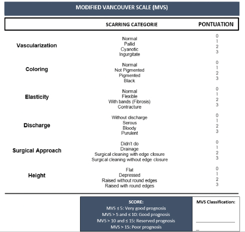 Effects of hyperbaric oxygen therapy on wound healing in veterinary ...