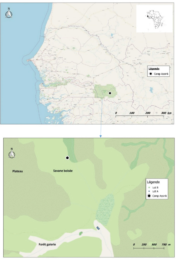 Open Veterinary Journal