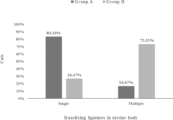 Left lateral flank approach for spaying in cats | Open Veterinary Journal