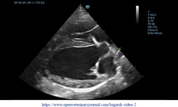 Acute severe pericarditis secondary to rodenticide intoxication in a ...