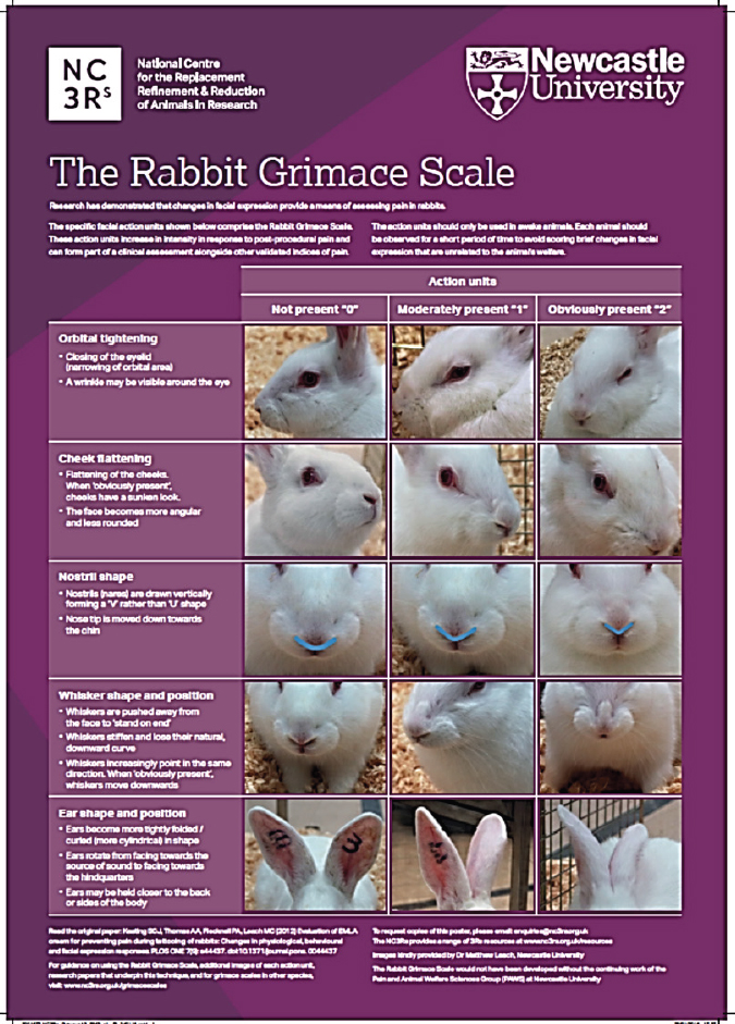 Clinical outcome of intravitreal gentamicin injection for the treatment ...