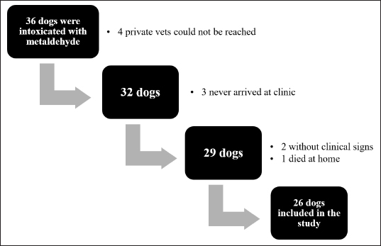 Open Veterinary Journal