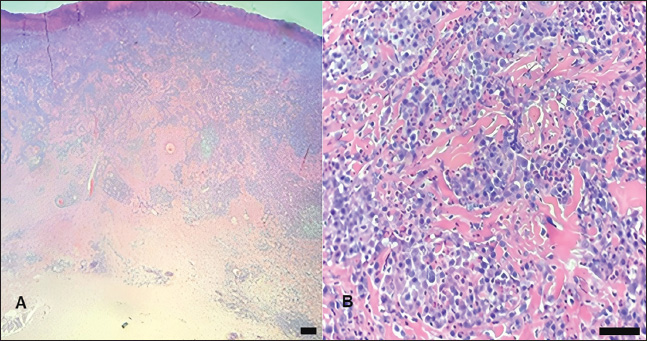 Open Veterinary Journal