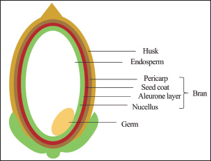 Open Veterinary Journal